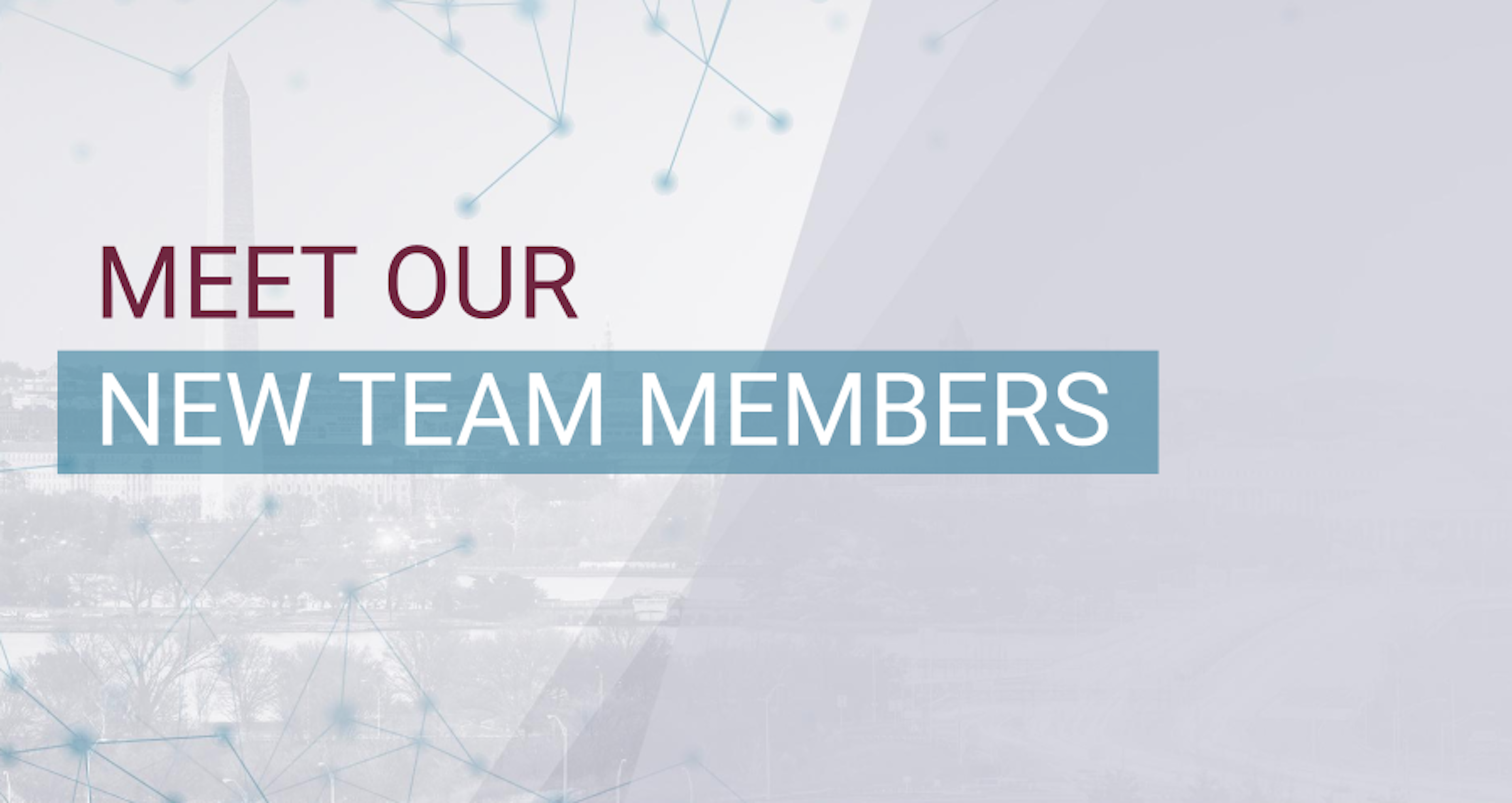 Meet Our New Team Members - The Messina Group